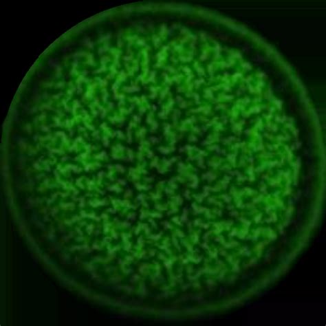 Encapsulated Probiotics — Anabio Microencapsulation Of Sensitive Ingredients