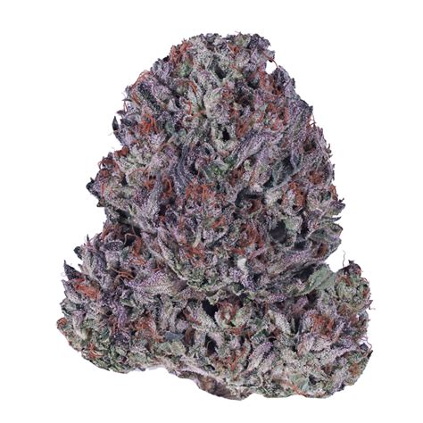 Tropical Fusion Strain Weed Information Devi Cannabis