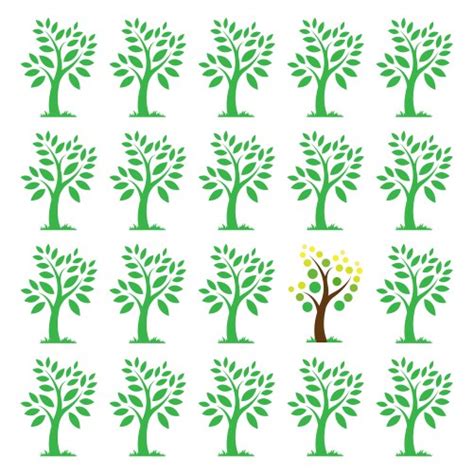 Set Of Tree Icons Royalty Free Vector Image VectorStock