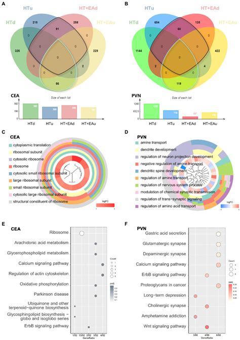 Electroacupuncture Alleviates Perioperative Hypothalamus Pituitary Adrenal Axis Dysfunction Via
