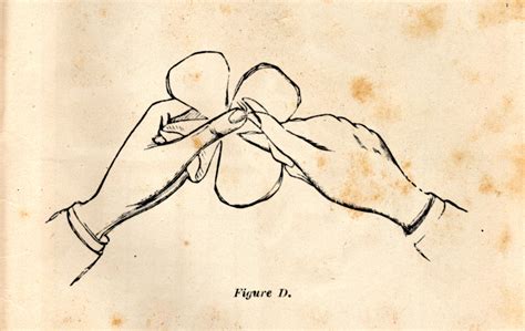 Tissue Paper Flower Making A Victorian Passage