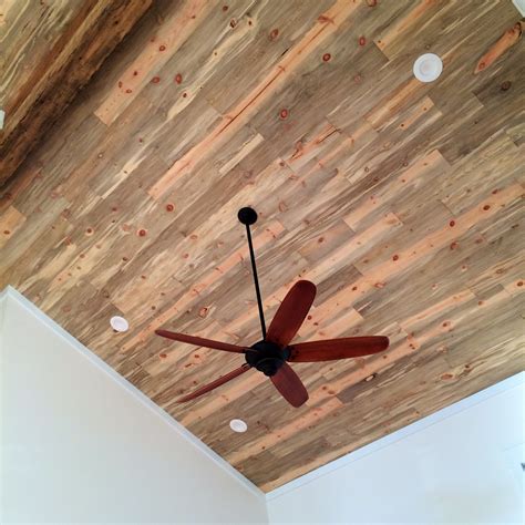 Beetle Kill Pine Ceilings A Look Into Our Blue Stain Ceiling Planks