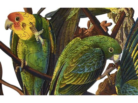 Carolina Parakeet Wooden Jigsaw Puzzle Liberty Puzzles