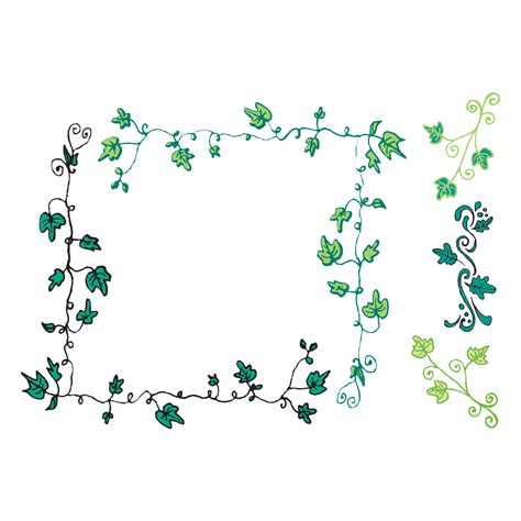 Vine Border