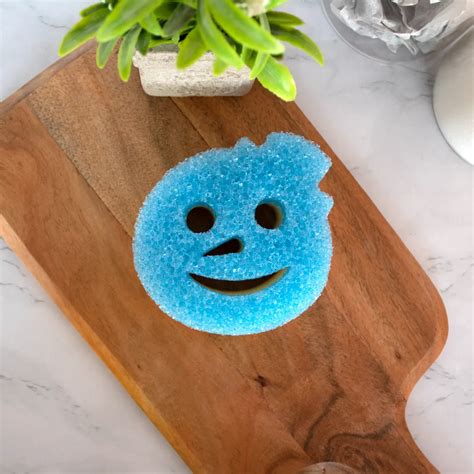 30 Different Uses For Scrub Daddy Scrub Daddy