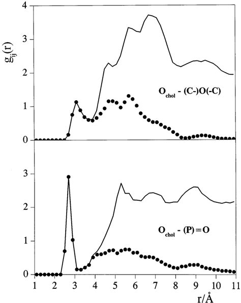 Partial Pair Correlation Function Of The Cholesterol O And Dmpc Tail