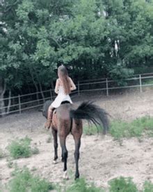 Horse Butt S Tenor