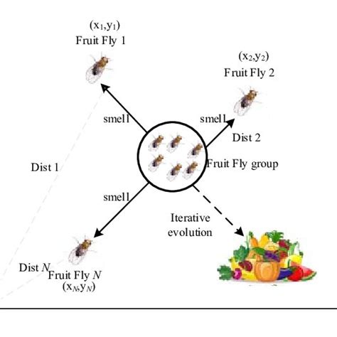 Food Searching Behaviour Of Fruit Fly Download Scientific Diagram