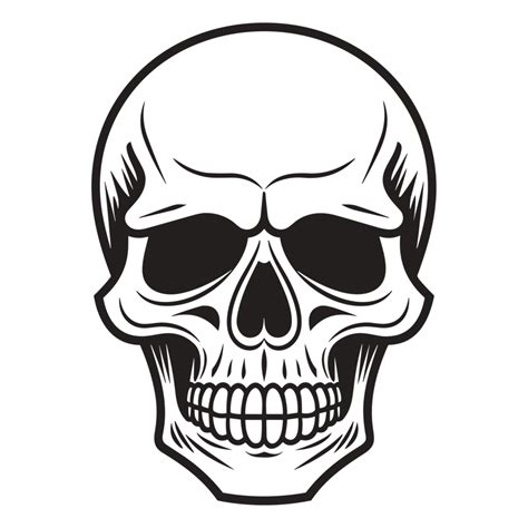 Beautiful Skull Silhouette 25074182 Png