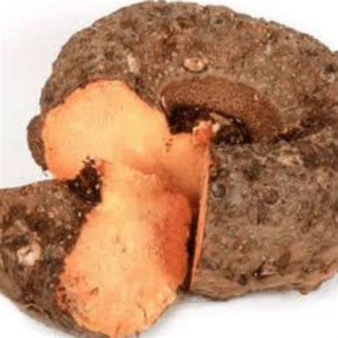 Jual Umbi Suweksuweg Fresbunga Bangkaiada Pesanan Baru Diambilkan1