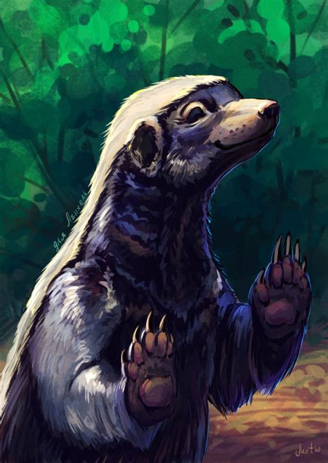 Honey Badger By Mothka On Deviantart