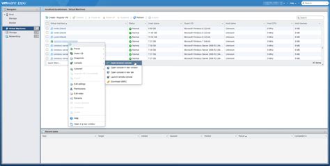 Step By Step Guide How To Install Guest Os On Vmware Esxi