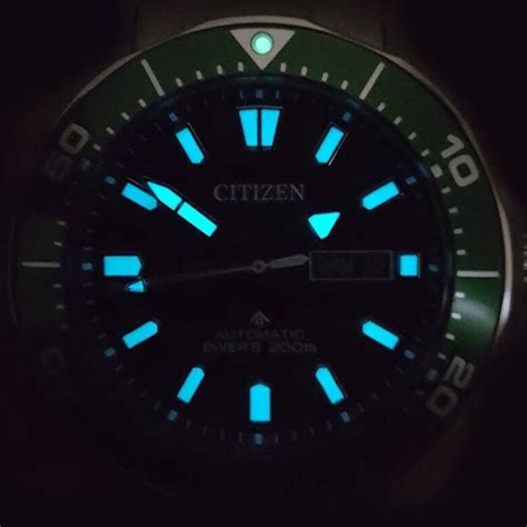 Citizen Ny0071 81ee Watch Promaster Sea