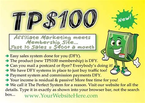 TPS100 PS — MARKETING SYSTEMS INTEGRATED