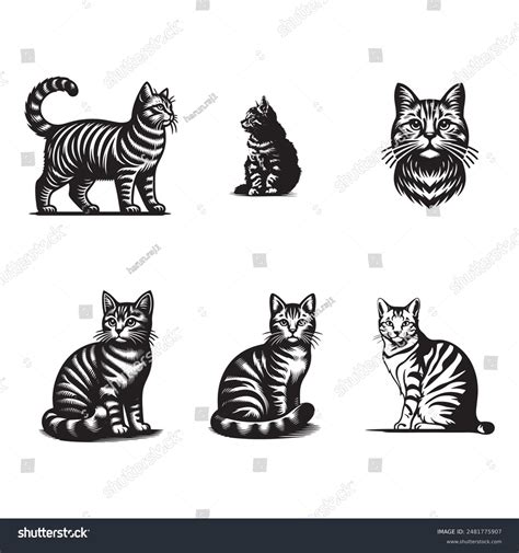 Set Tabbies Cat Vector Silhouette Illustration Stock Vector Royalty Free 2481775907 Shutterstock
