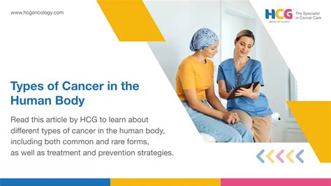 Types Of Cancer In Human Body Hcg Oncology