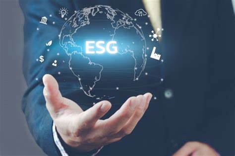 Metamorfose Digital Esg O Novo Paradigma Dos Negócios Frameworks Esg Tnx Brasil