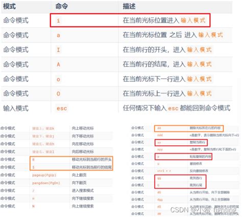Vivim编辑器全面指南:从基础到高级命令 Csdn博客 Vivim编辑器全面指南:从基础到高级命令 Csdn博客