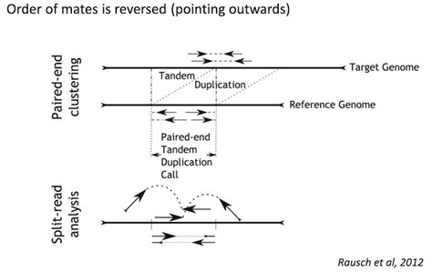 Structural Variation In Short Reads Nygc Sequence Informatics Workshop