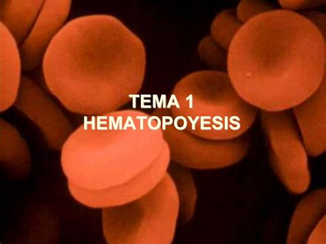 Hematopoyesis Pptx