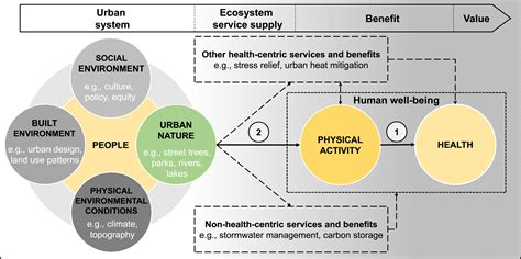 An Ecosystem Service Perspective On Urban Nature Physical Activity