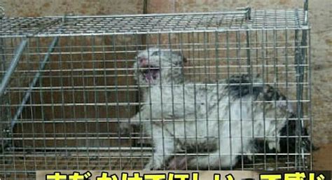 大矢誠被告 大矢誠の現実 これが Hashtag On Twitter