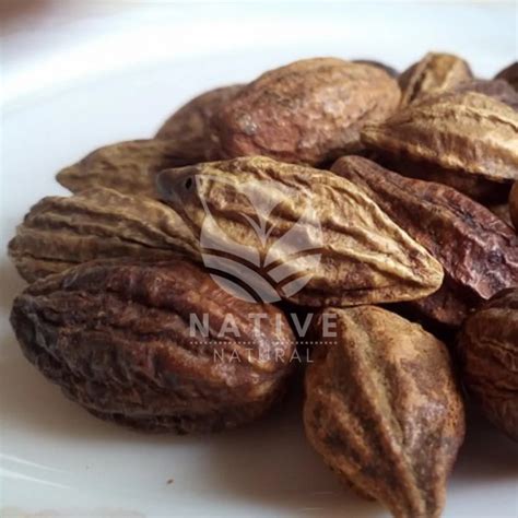 Dried Behada Fruit Grade A At ₹ 25kg In Ahmedabad Id 2857989735188