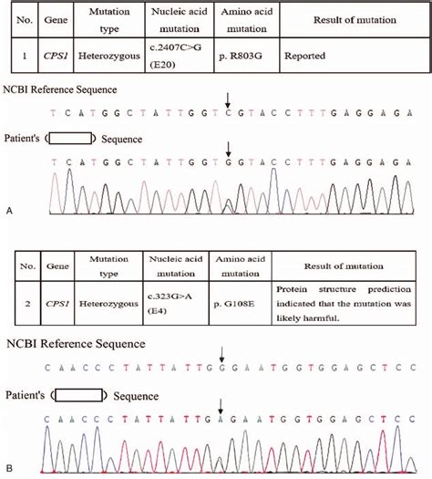 Genetic Findings Sequencing And Comparison With The Ncbi Refseq