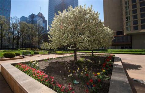 Grid Examples Intelligent Systems Program