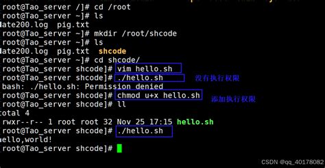 0shell 脚本执行方式shell脚本执行可执行中头 Csdn博客