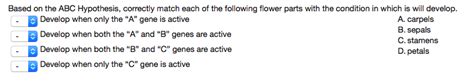 Solved Based On The Abc Hypothesis Correctly Match Each Of