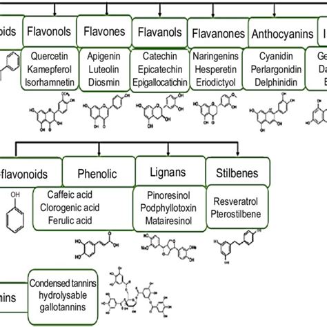 Classes Active Compounds And Natural Sources Of Polyphenolic