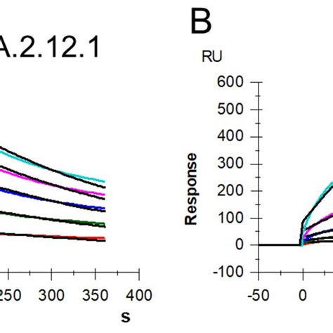 Spr Sensorgrams Of S Protein Rbd Of Ba 2 12 1 And Ba 4 Ba 5 Binding