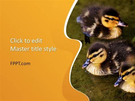Free Duck Powerpoint Templates