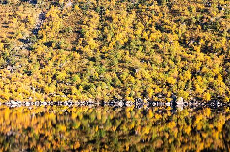 Monte Vista Nathaniel Dauth