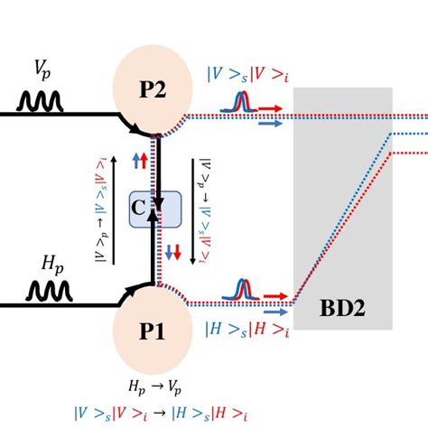 Conceptual Design Of The Source Bd1 Bd2 Beam Displacers P1