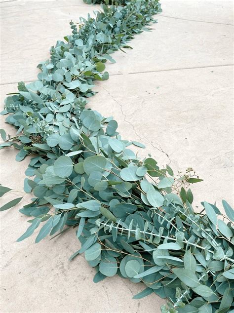 Wedding Eucalyptus Garland 60 Photos