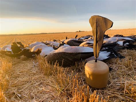 Mojo Tv We Have Been Using The New Mojo Mini Flags This Facebook