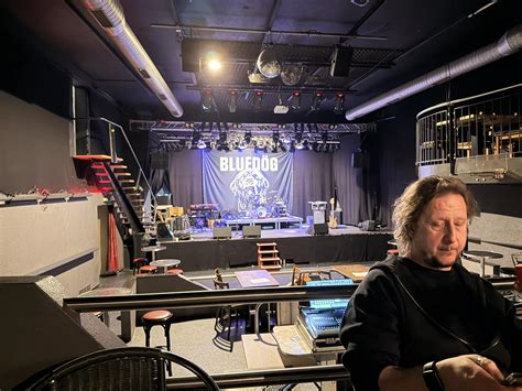 Phipu Bluedoeg Gerber