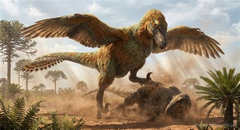 Utahraptor Bbc