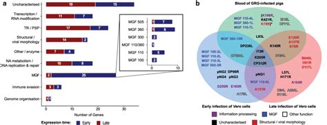 Temporal Asfv Gene Expression Download Scientific Diagram