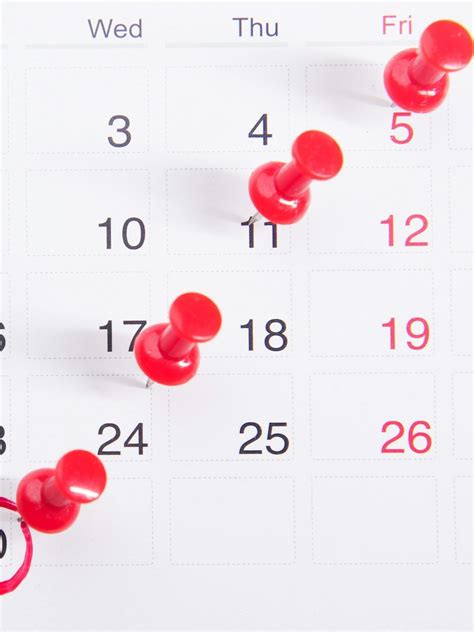 Contractor Financial Statements