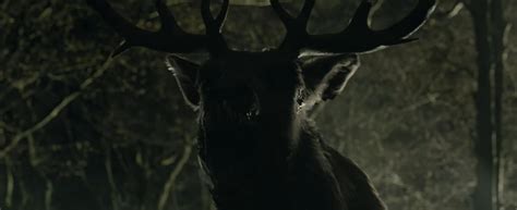 Bambis Lost It By Mantadrifter On Deviantart