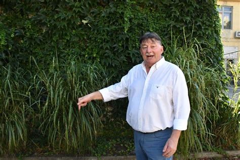 László Ii István A MÁv Előre Nb I Es Tündérmeséjének Utolsó Házi Gólkirálya