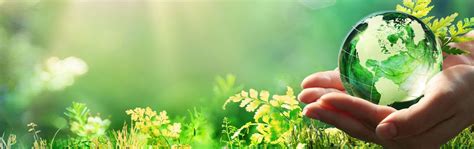 Sustainability At Mapal Mapal