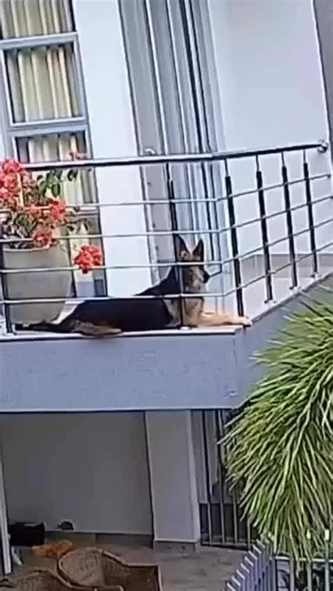 Repost Album On Imgur