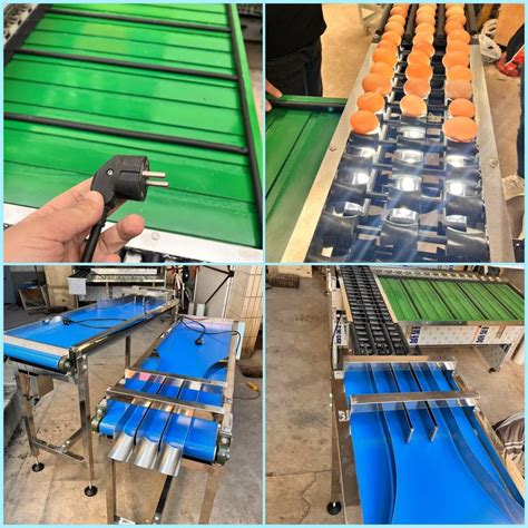 Industrial Egg Grading Machine Egg Grading Machine Sorter Small And
