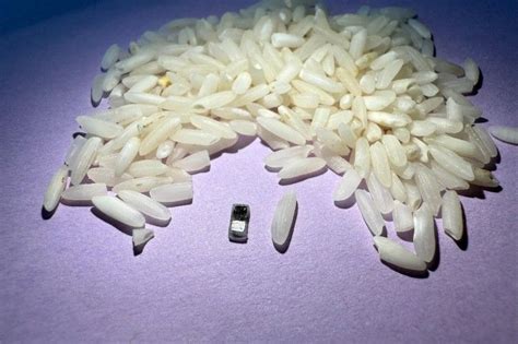 Worlds Tiniest Pacemaker Is Smaller Than Grain Of Rice
