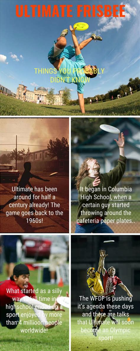 Ppt Ultimate Frisbee Powerpoint Presentation Free Download Id7990436