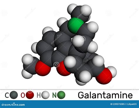 Galantamine Molecular Structure 3d Model Molecule Razadyne